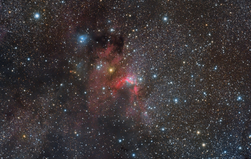 Sh2-155 Cave Nebula region | Starscape Imaging